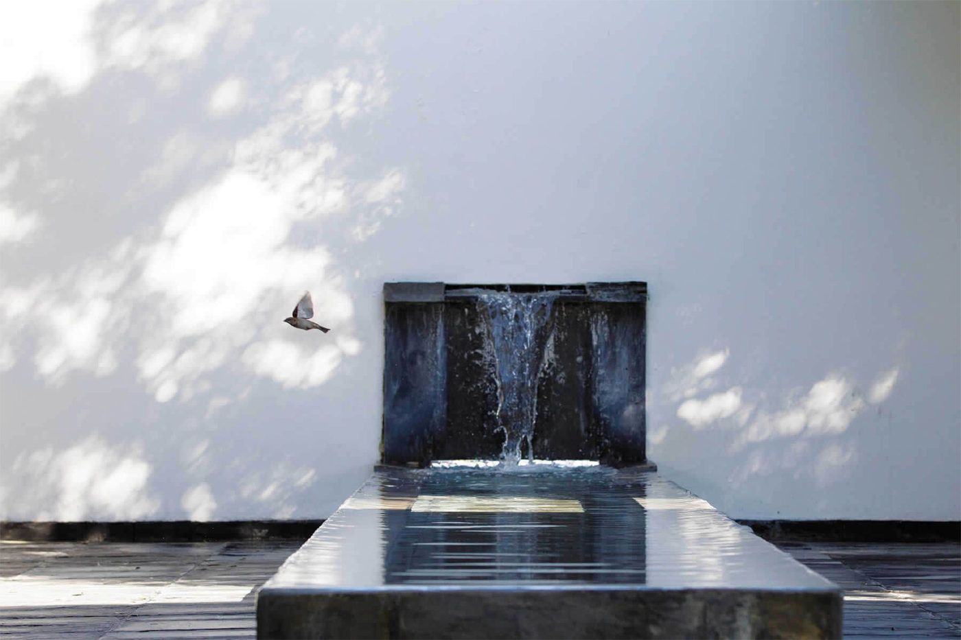 Almyra Hotel Paphos, Cyprus - OutThere magazine