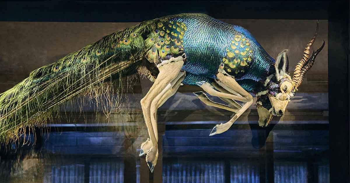 The Mandrake London, United Kingdom - OutThere magazine