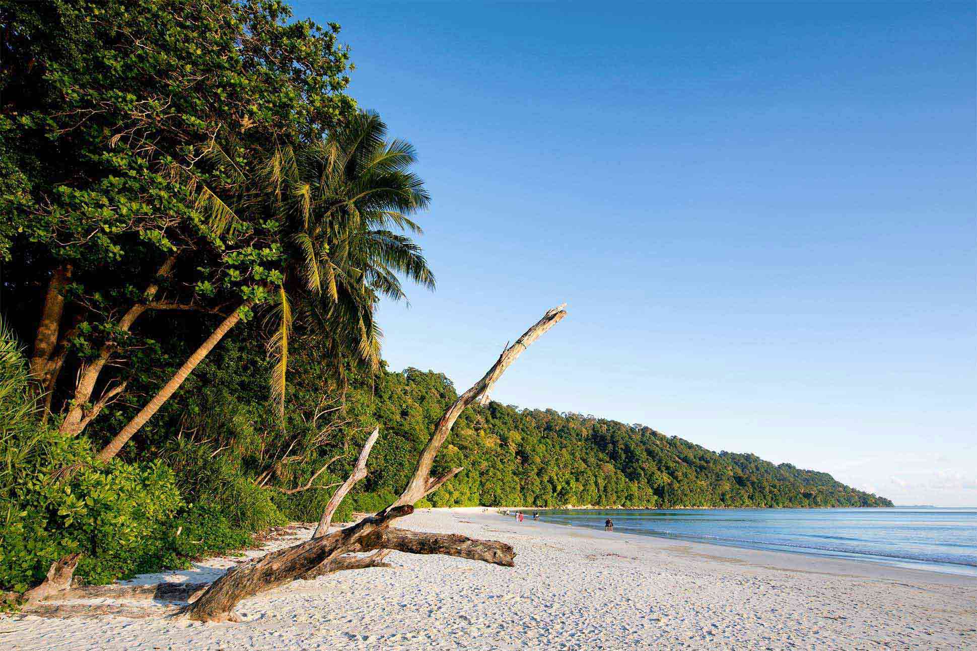 The secret seven Andaman Islands, India - OutThere magazine