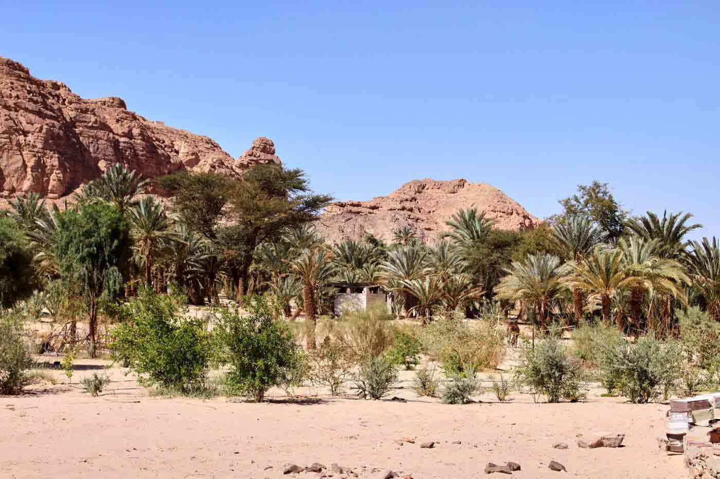 Sinai Peninsula: A photographic journey - OutThere magazine