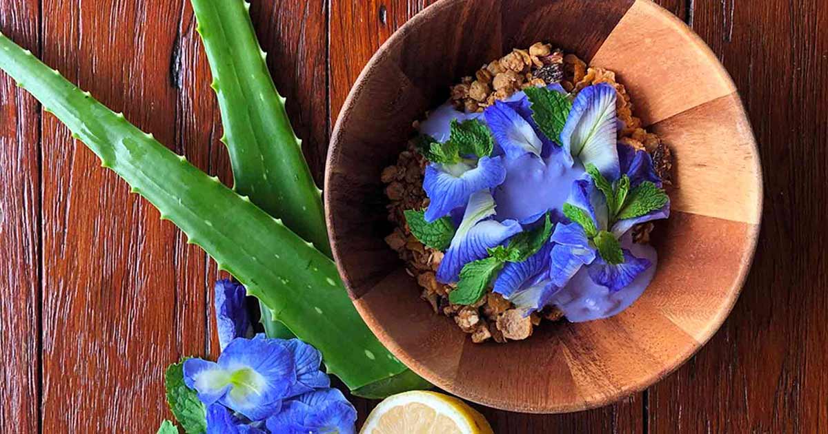 Six Senses: Mood food - OutThere magazine