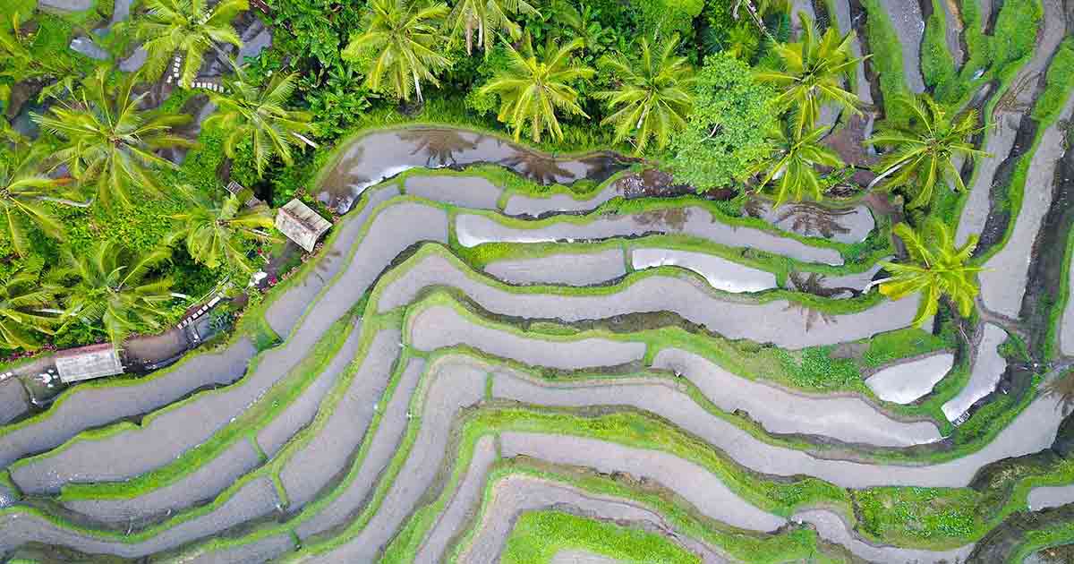 Beyond Green: Worldwide wellness - OutThere magazine