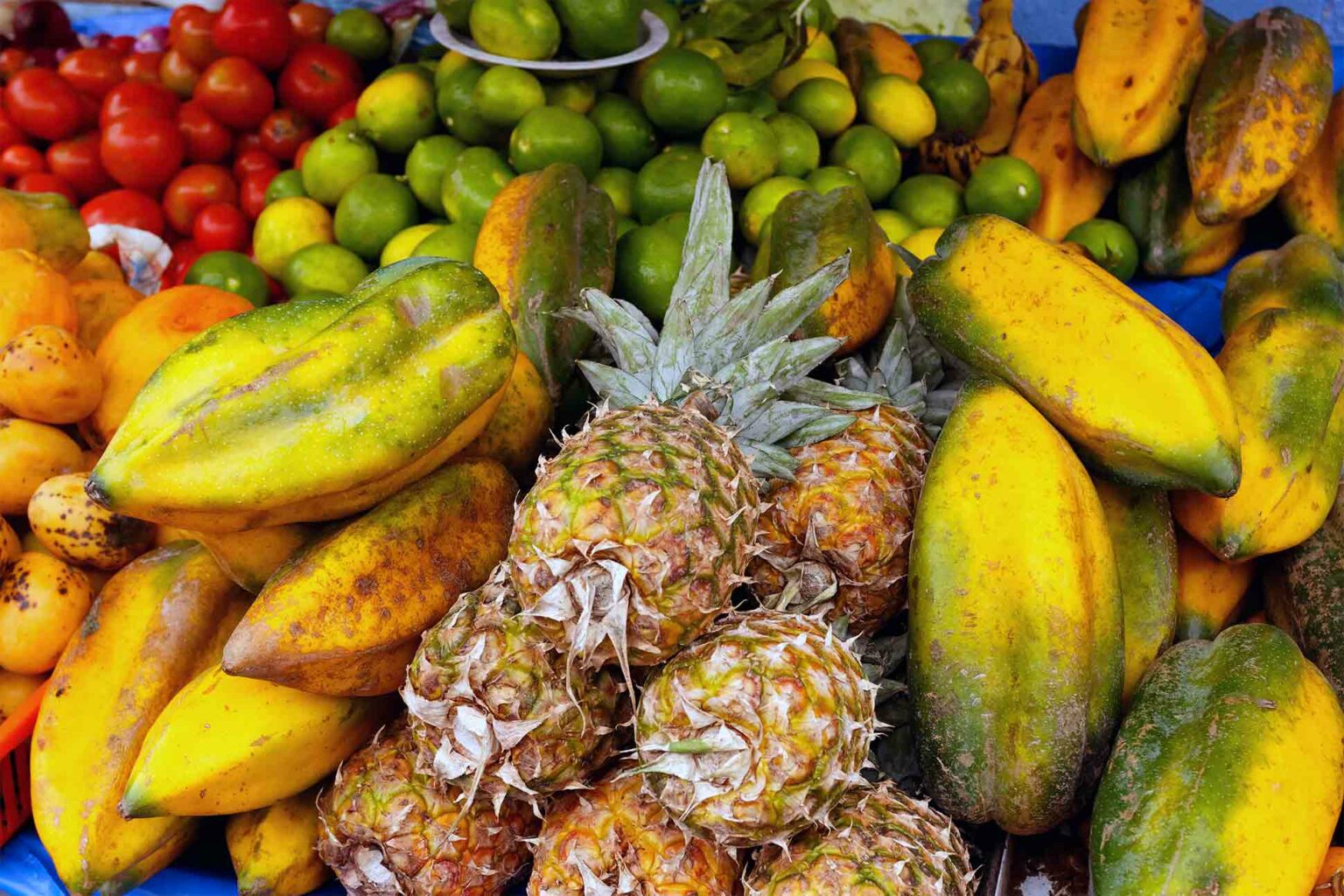 Flavour with altitude Quito, Ecuador - OutThere magazine