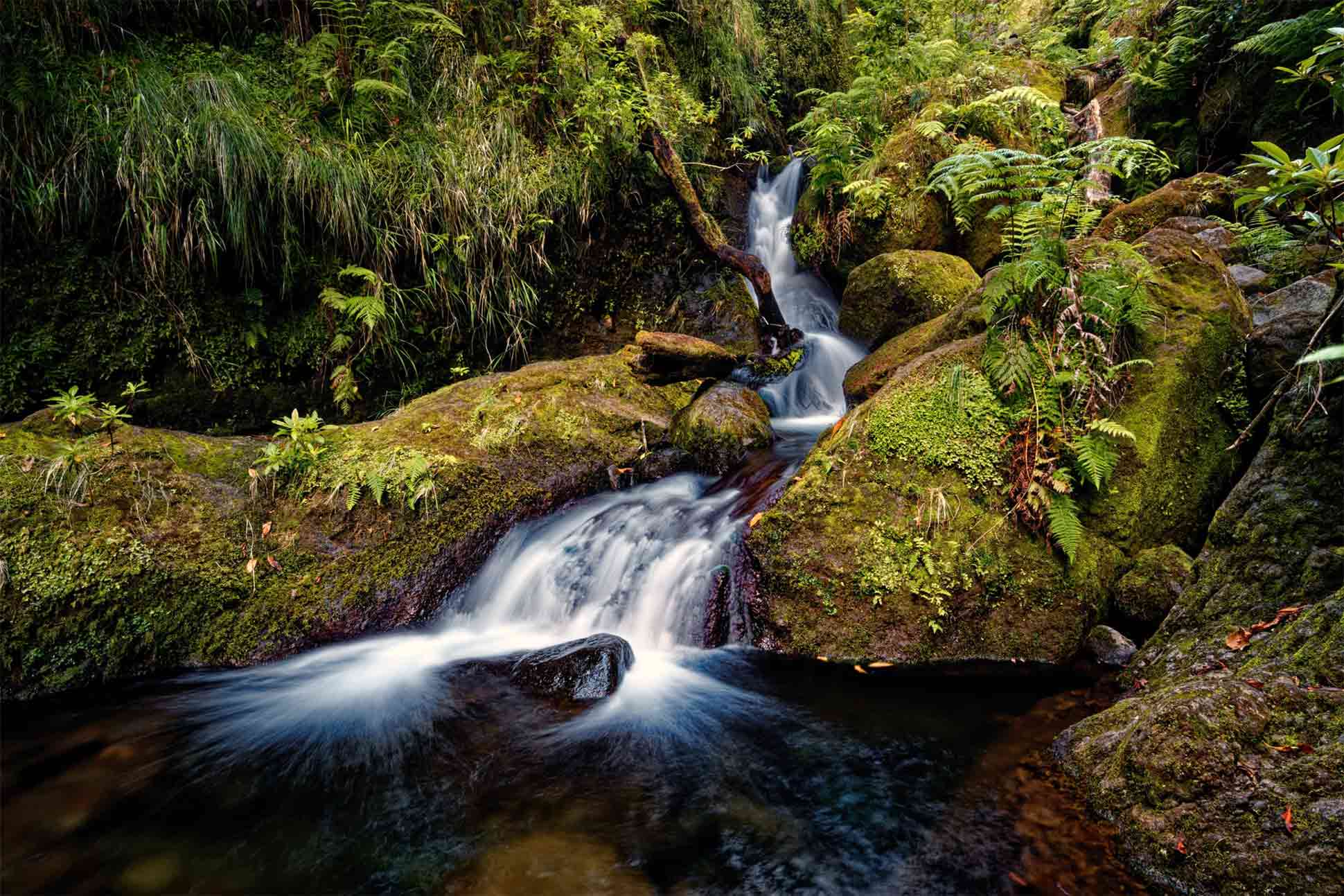 Island time Madeira, Portugal - OutThere magazine