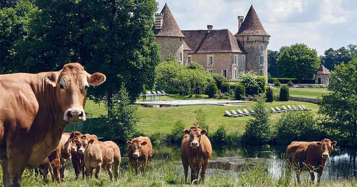 Domaine des Etangs Massignac, France - Hotel review by OutThere magazine