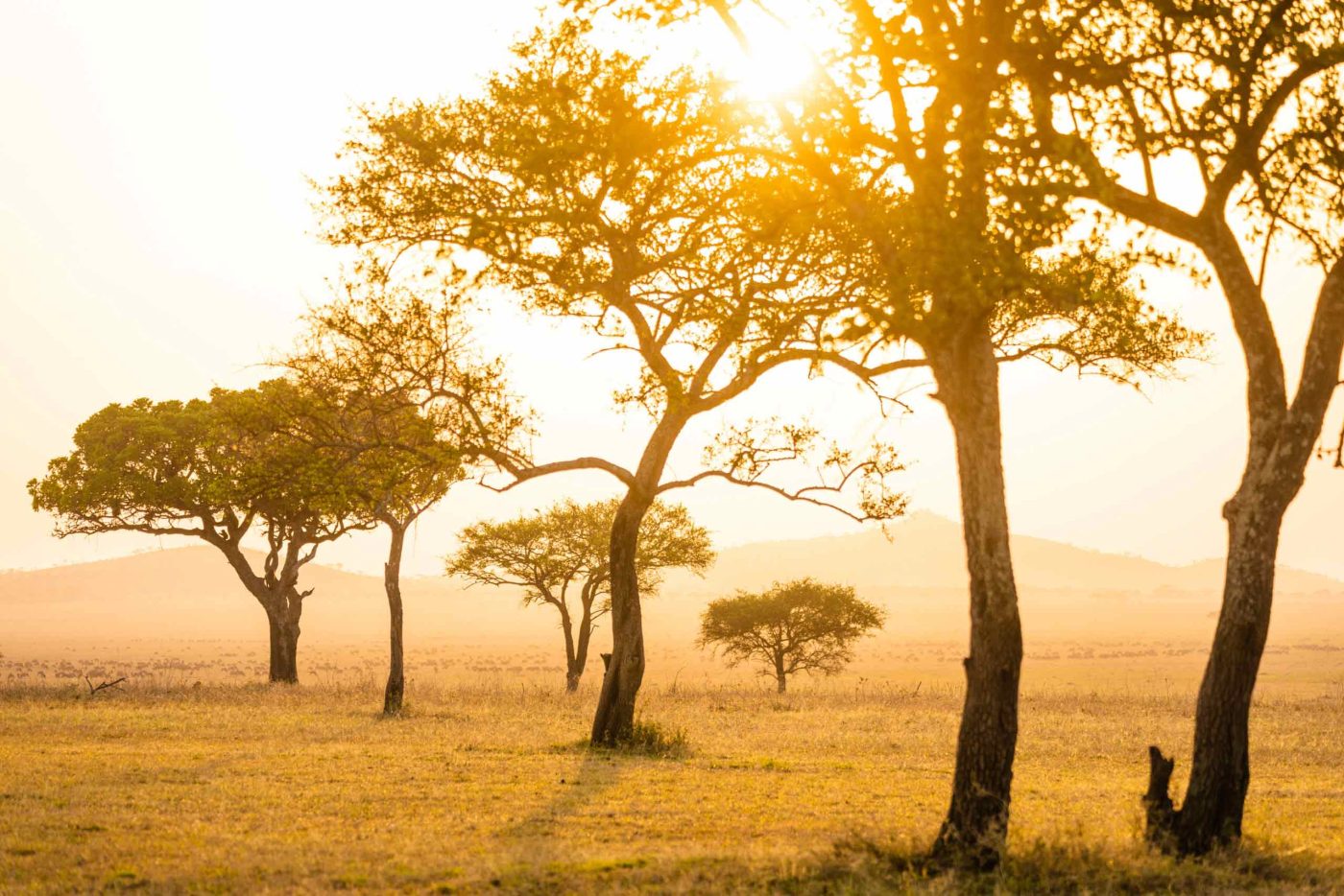 Animal magic Grumeti Game Reserve, Tanzania | OutThere magazine