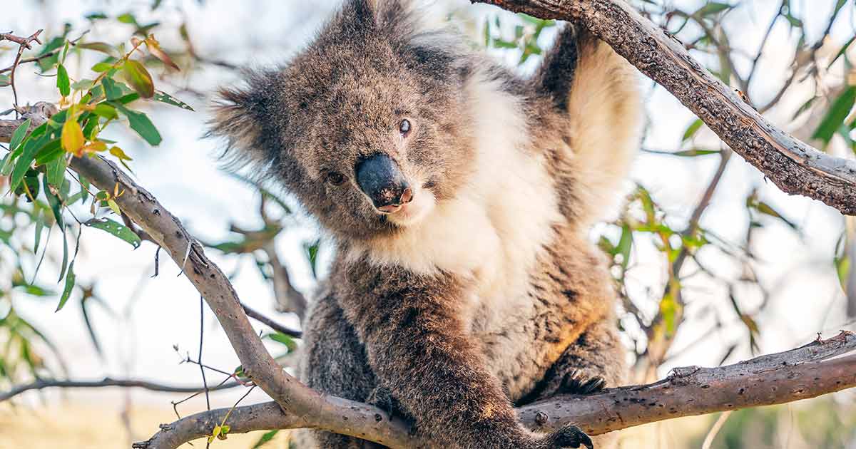 Boundless horizons South Australia, Australia - OutThere magazine