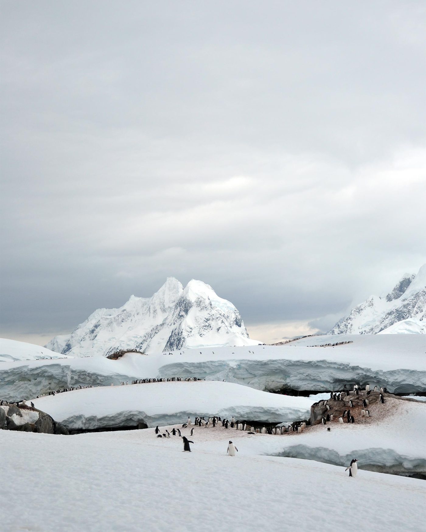 Conrad Combrink, Silversea: Cruising with purpose - OutThere magazine