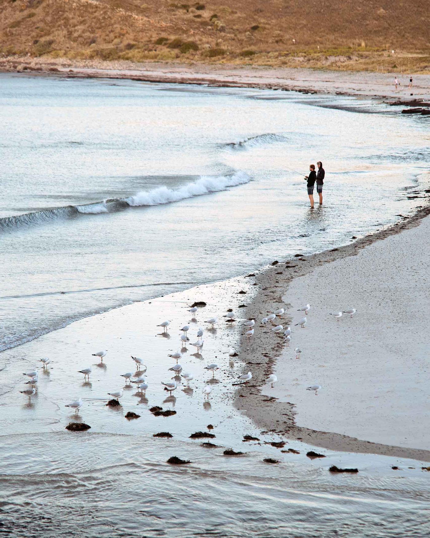 The light fantastic Myponga Beach, Australia - OutThere magazine