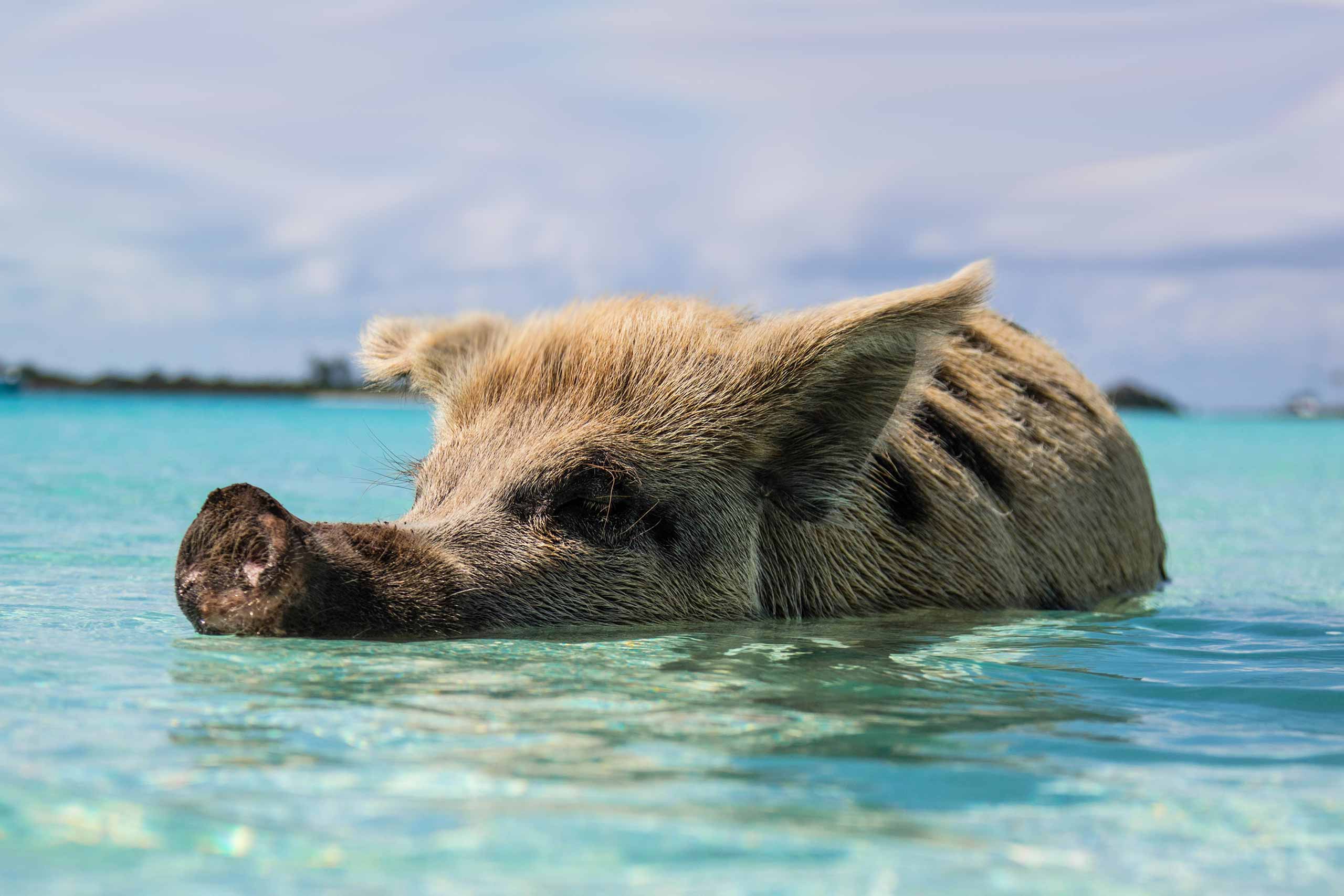 The Bahamas inspiration and reviews by OutThere magazine