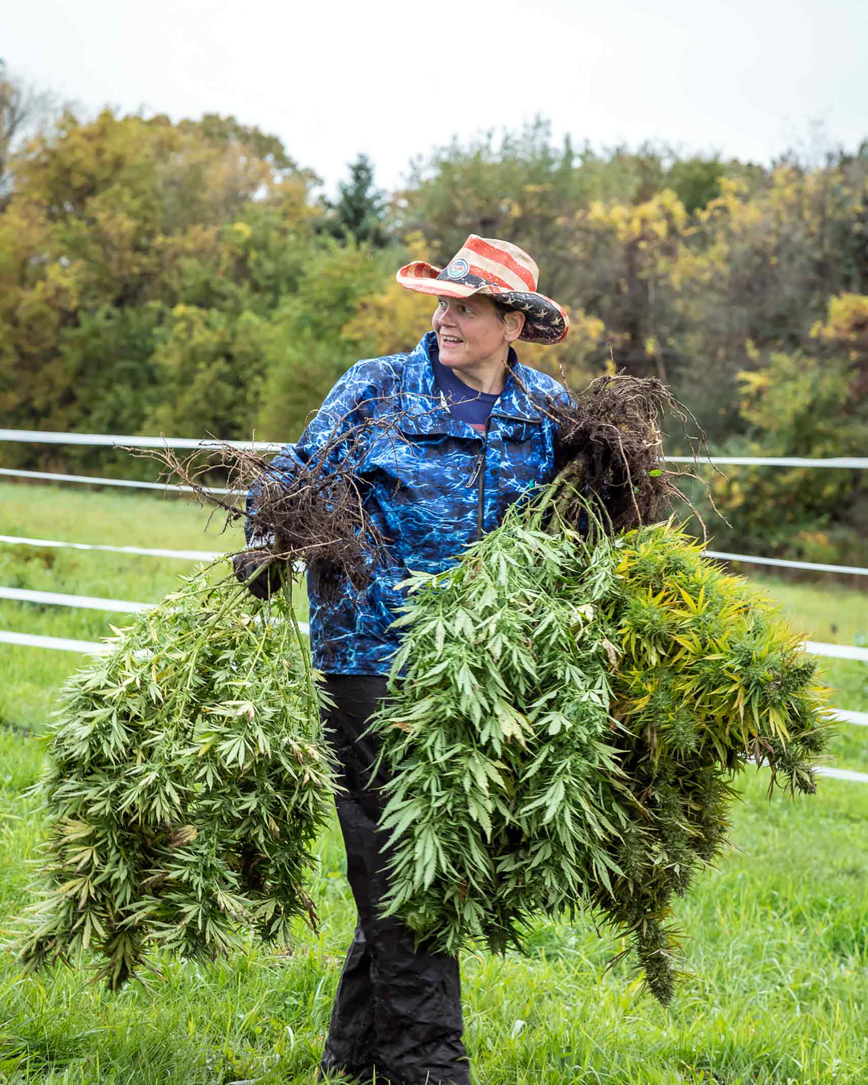 Hempstock Pharms founder Stacy McCaskill on Woodstock topicals ...