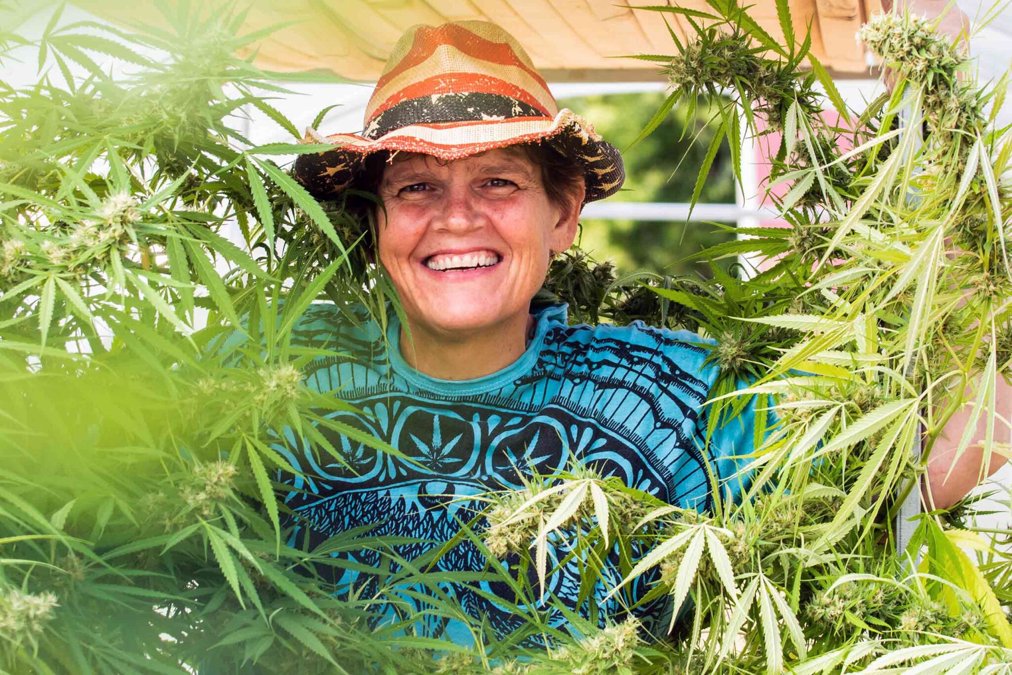 Hempstock Pharms founder Stacy McCaskill on Woodstock topicals ...