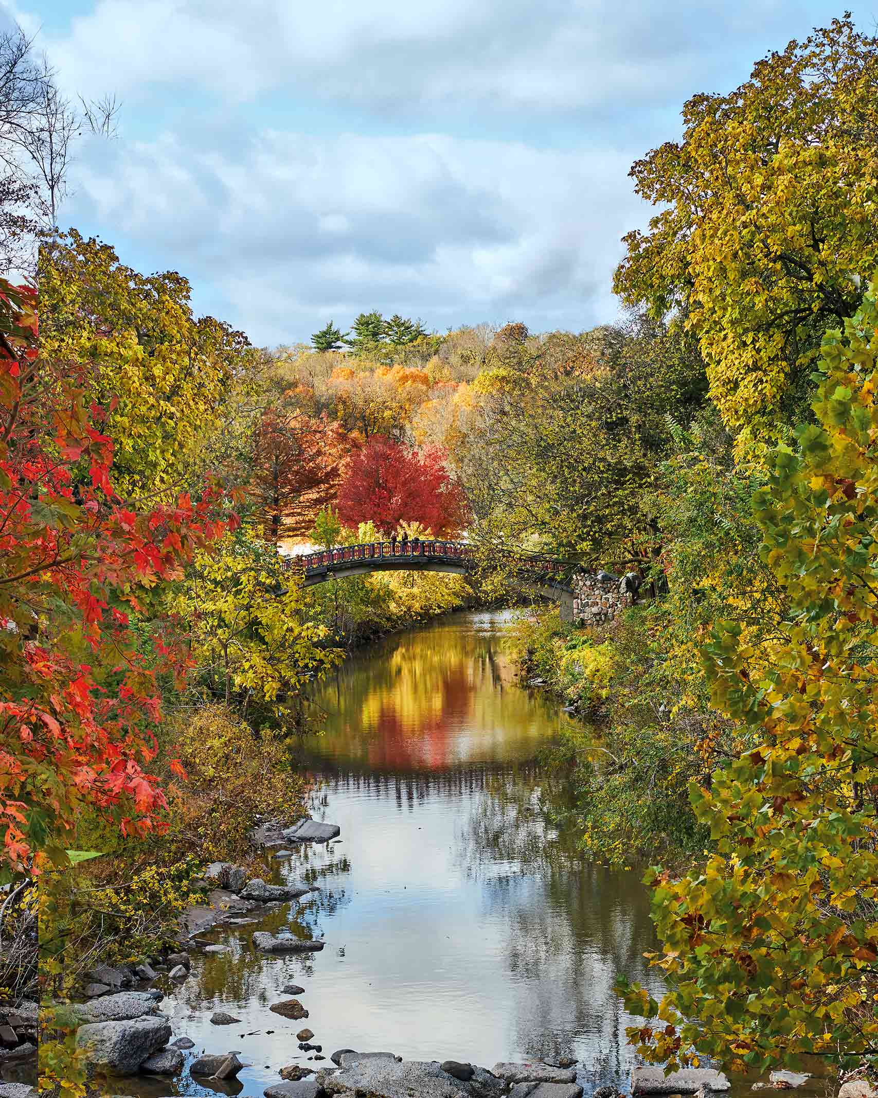State of the prairie, Illinois, USA - OutThere magazine